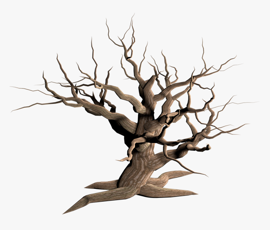 Desert Tree Png - Transparent Background Dry Tree Png, Png Download ...