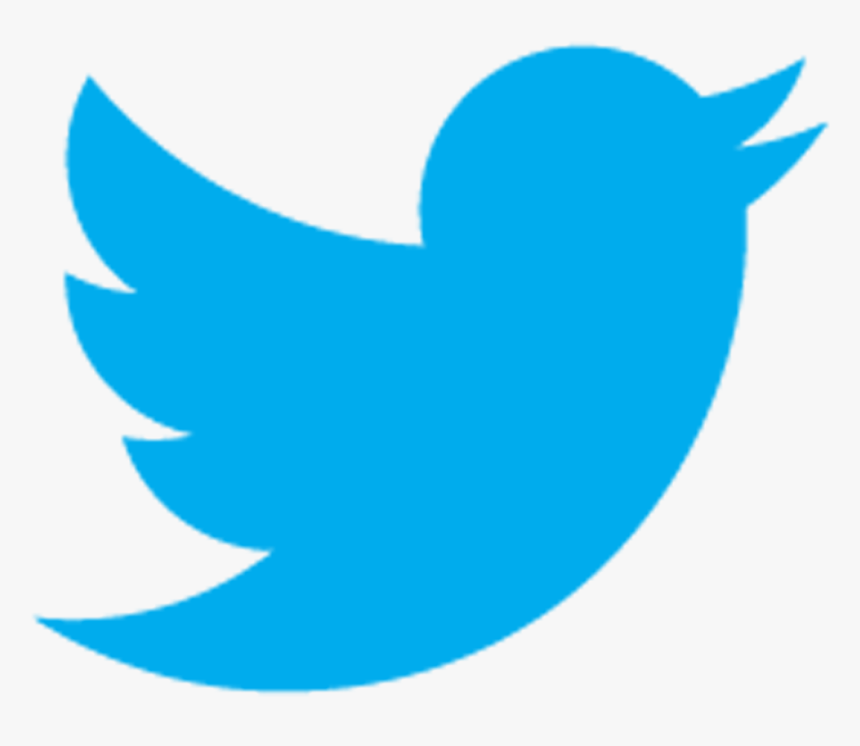 Twitter Bird Icon Png, Transparent Png , Transparent Png Image - PNGitem
