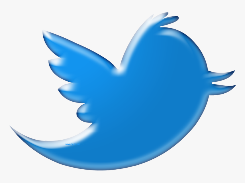 Twitter Bird Logo Png Transparent Background Vector, Png Download ...