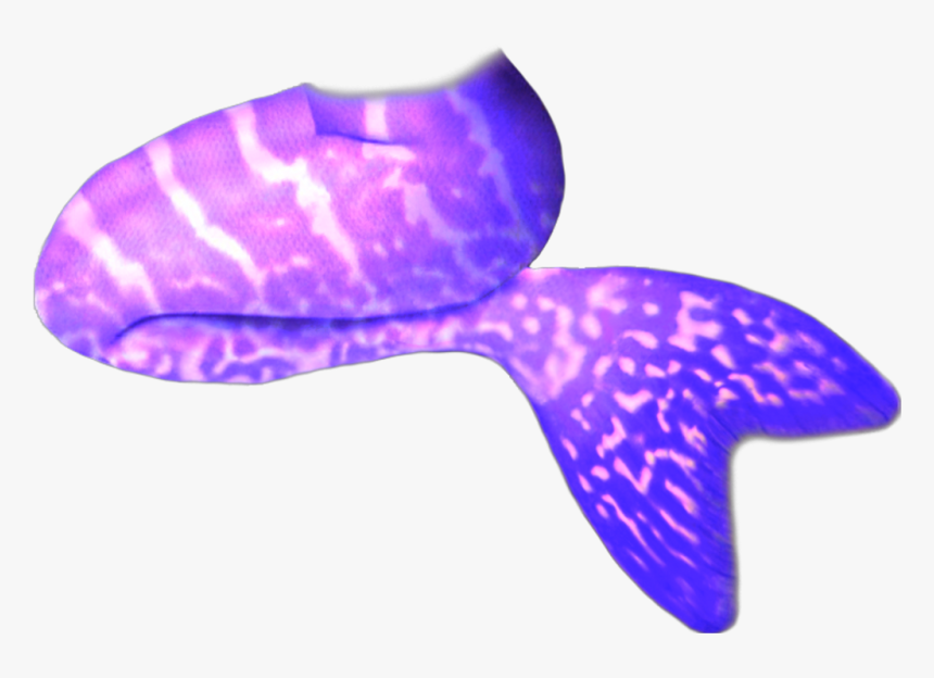 Mermaid Tail Scmermaids Purple Galaxy Rh Picsart Com, HD Png Download ...