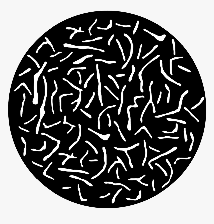 Chicken Scratches, HD Png Download , Transparent Png Image - PNGitem