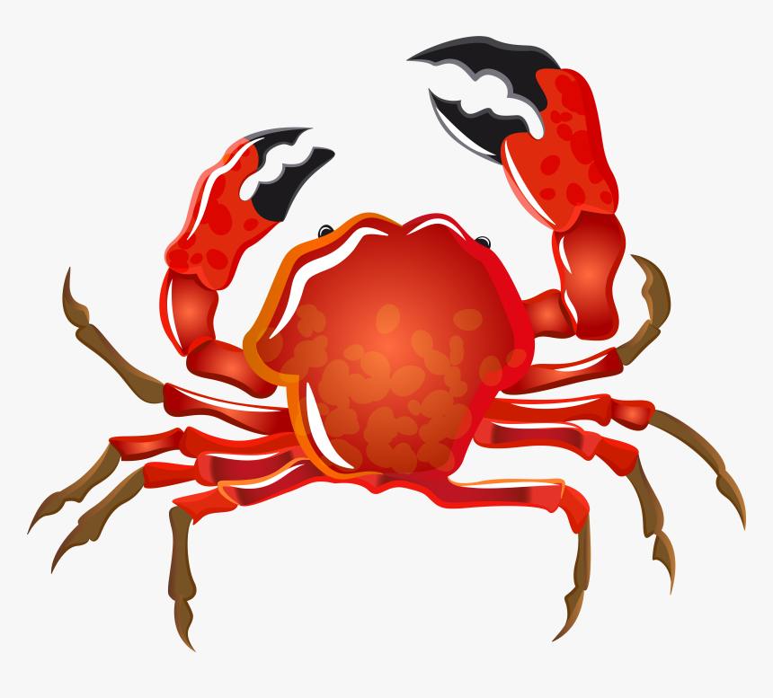 Crabs Clipart Border, HD Png Download , Transparent Png Image - PNGitem