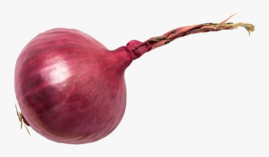 Red Onion, HD Png Download , Transparent Png Image - PNGitem