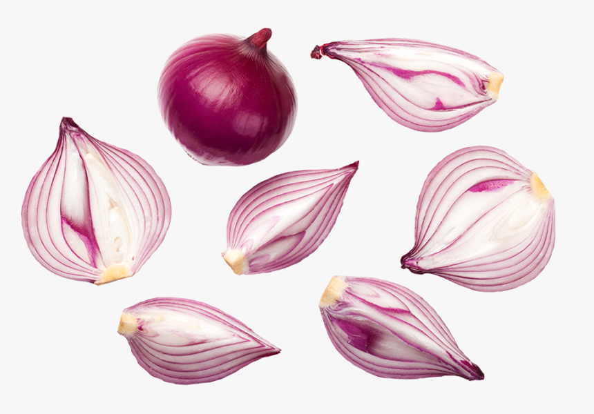 Onion Top View, HD Png Download , Transparent Png Image - PNGitem