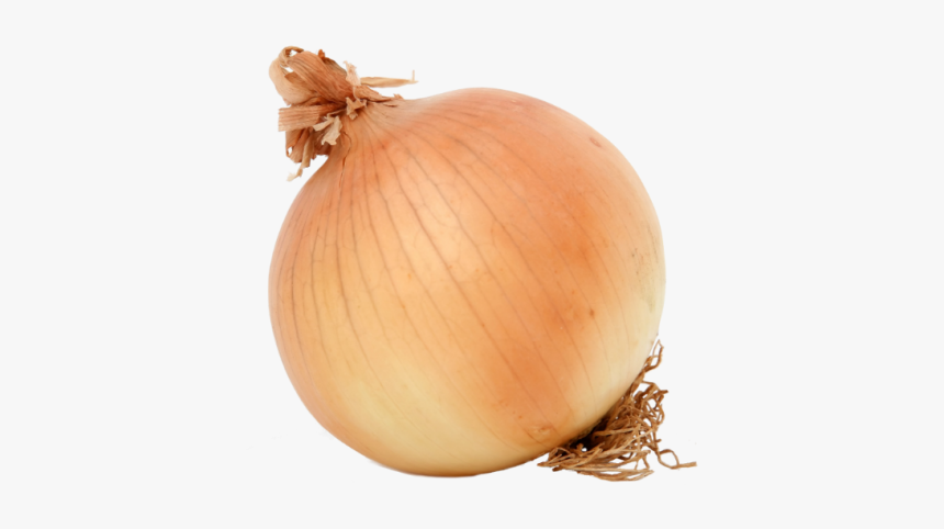 Yellow Onions Color Swatch, HD Png Download , Transparent Png Image ...