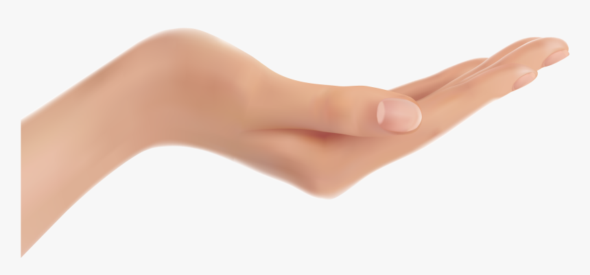 Hands Png Free, Transparent Png , Transparent Png Image - PNGitem