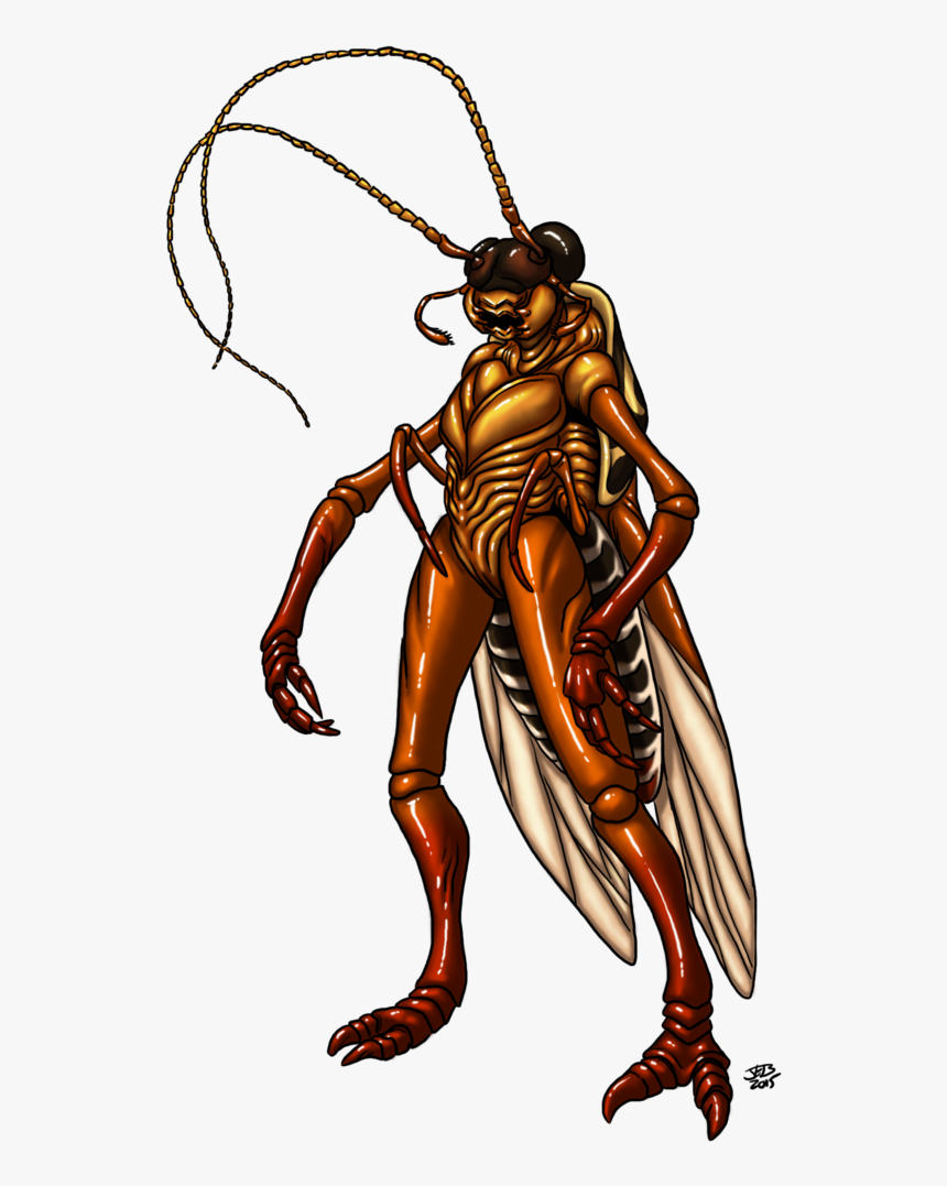 Transparent Cockroach Clipart - Roach Drawing, HD Png Download ...