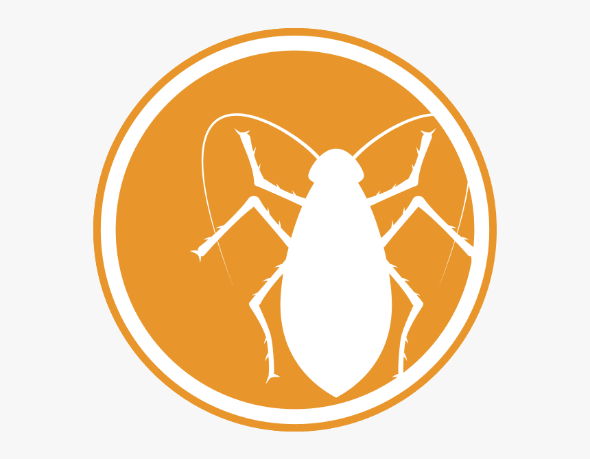 Icon Of A Roach - Pest Icons, HD Png Download , Transparent Png Image ...