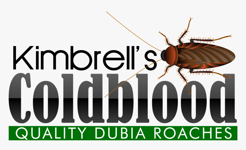 Cockroach, HD Png Download , Transparent Png Image - PNGitem