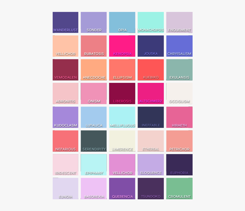 Human Skin Color Chart, HD Png Download , Transparent Png Image - PNGitem