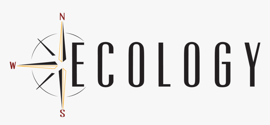 Ecology - Calligraphy, HD Png Download , Transparent Png Image - PNGitem
