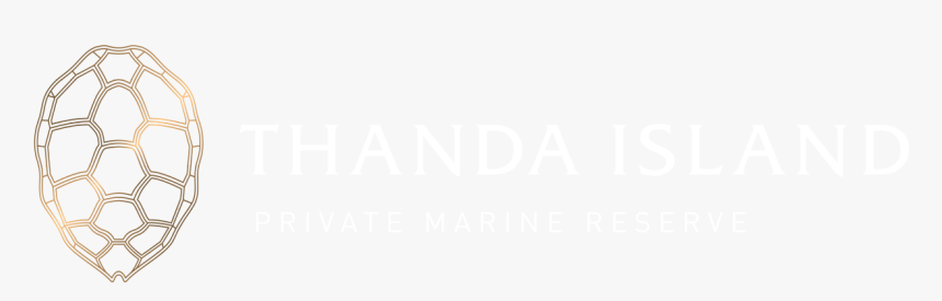 White Thanda Island Logo - Analog Watch, HD Png Download , Transparent ...
