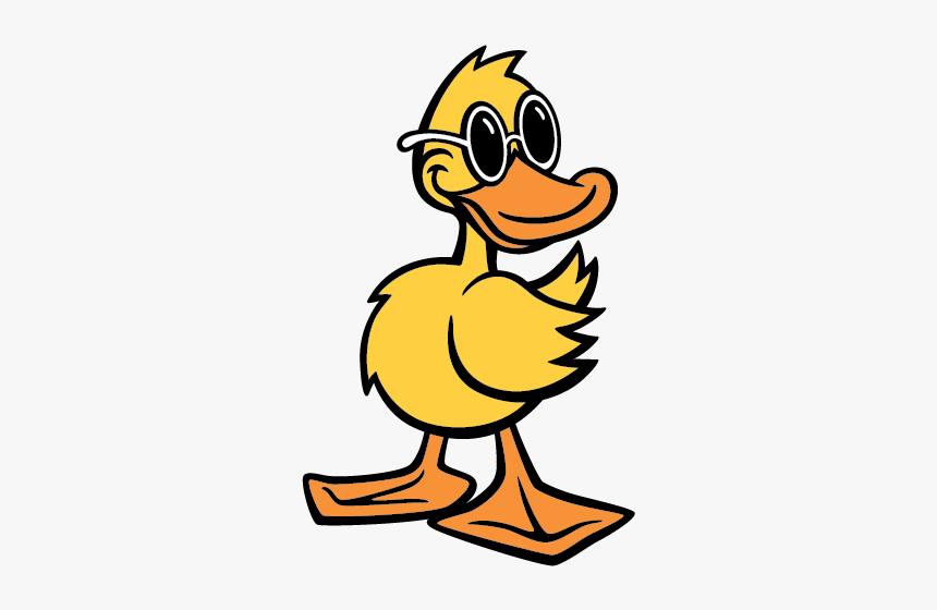 Image Of Quackals, The Quick Quack Car Wash Duck Mascot - Duck, HD Png ...