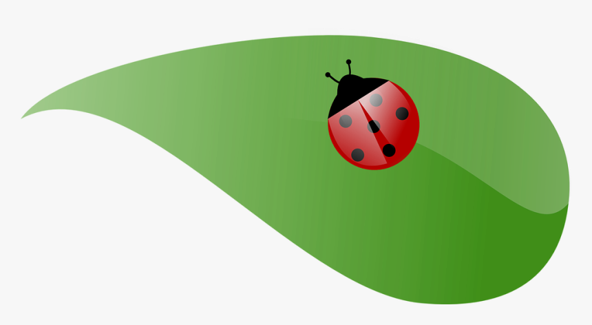 Lady Beetle Clipart Leaf - Lady Bug Leaf Clip Art, HD Png Download ...