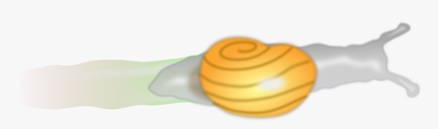 Snail Slime Trail Transparent, HD Png Download , Transparent Png Image ...