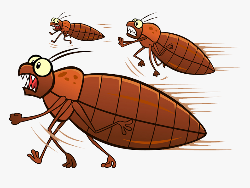 Bed Bugs Running - Bed Bug Running, HD Png Download , Transparent Png ...