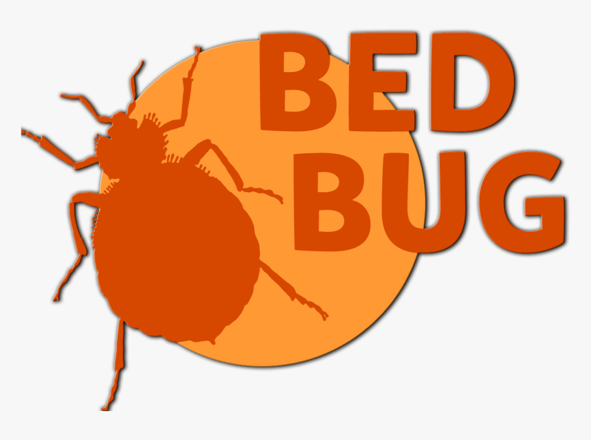 89 Bed Bug - Bed Bug Png, Transparent Png , Transparent Png Image - PNGitem