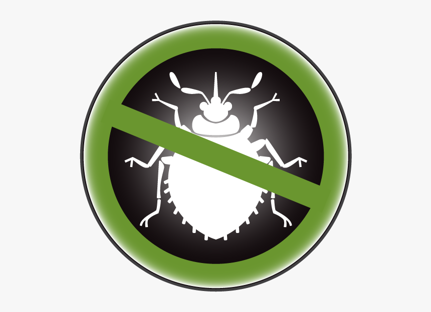 Bed Bugs Treatment Logo, HD Png Download , Transparent Png Image - PNGitem