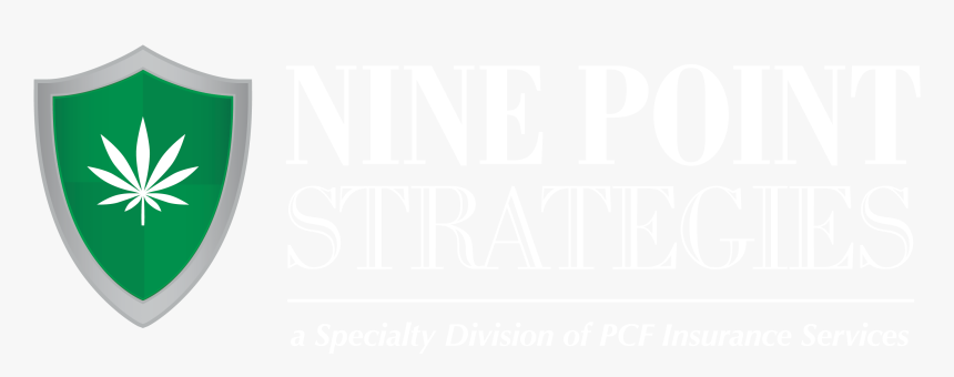Nine Point Strategies - Flag, HD Png Download , Transparent Png Image ...