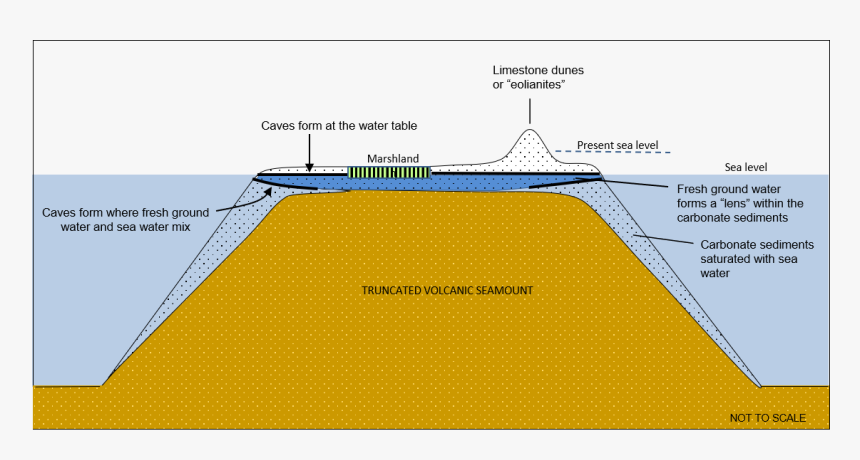 Limestone Formation Diagram