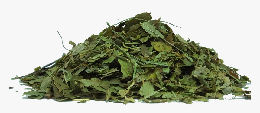 Leaves Pile Png, Transparent Png , Transparent Png Image - PNGitem
