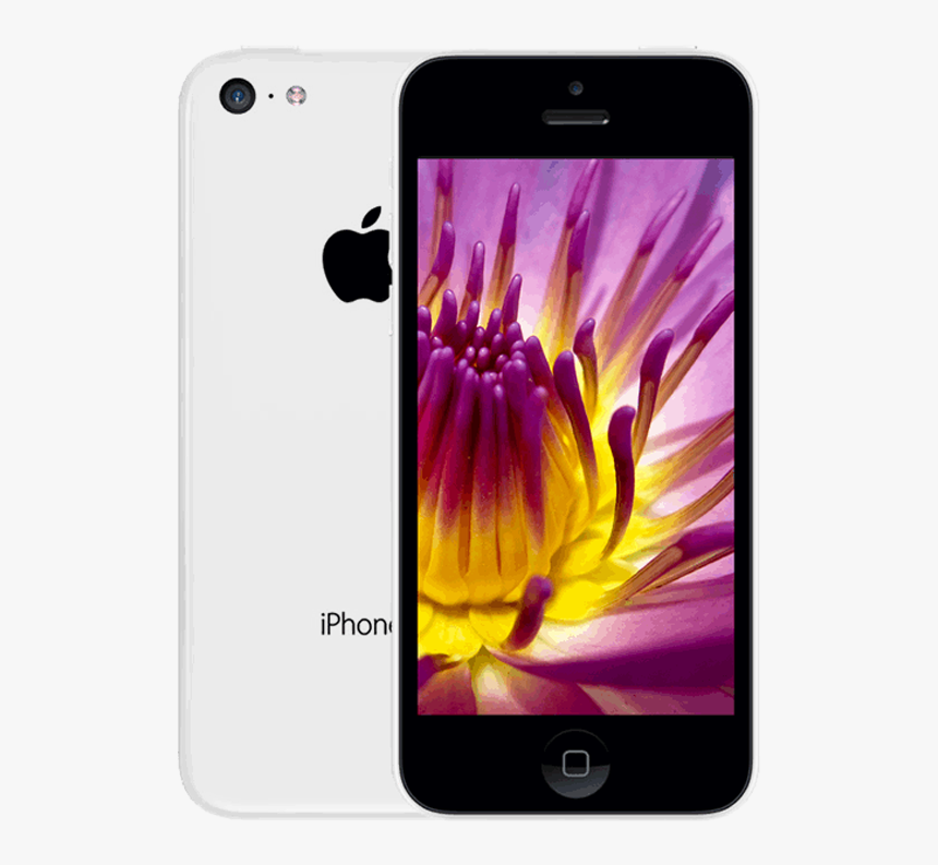 Contrast Color For Violet, HD Png Download , Transparent Png Image ...