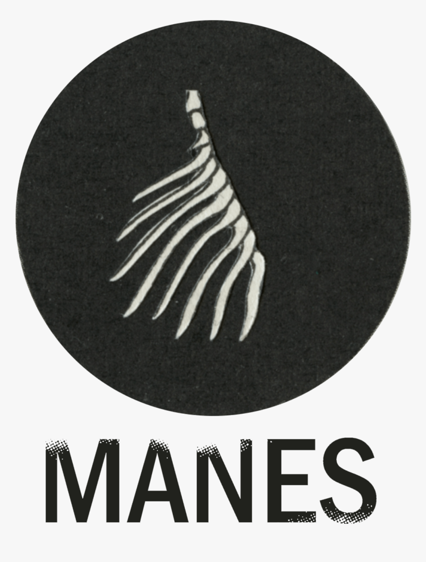 Image Default - Emblem, HD Png Download , Transparent Png Image - PNGitem