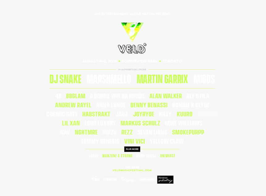 Veld Website Graphic 1 - 2018 Veld Music Festival Lineup, HD Png ...