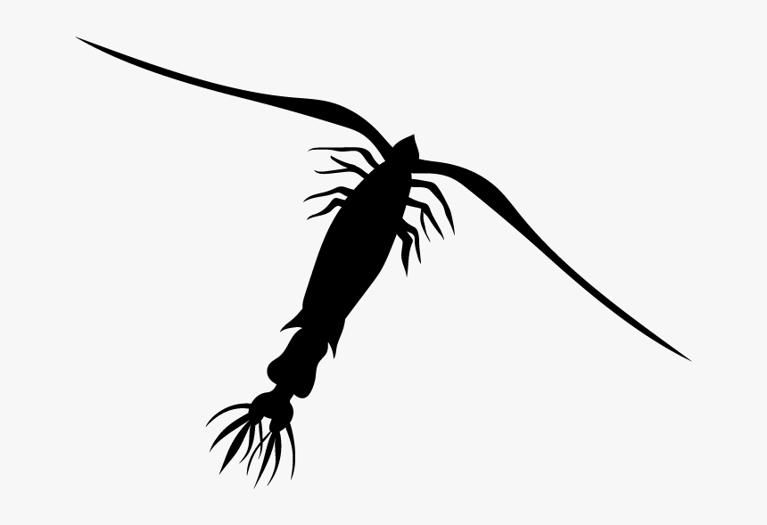 Data Src //cdn - Zooplankton Silhouette, HD Png Download , Transparent ...