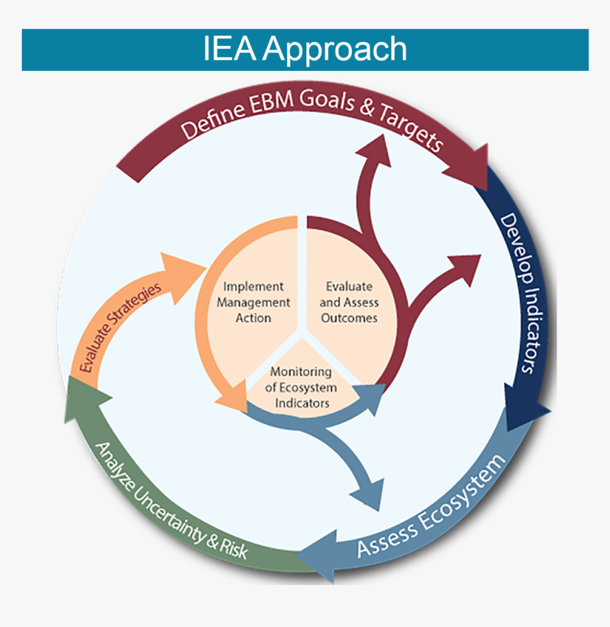 Iea Approach - Ecosystem Based Management Process, HD Png Download ...