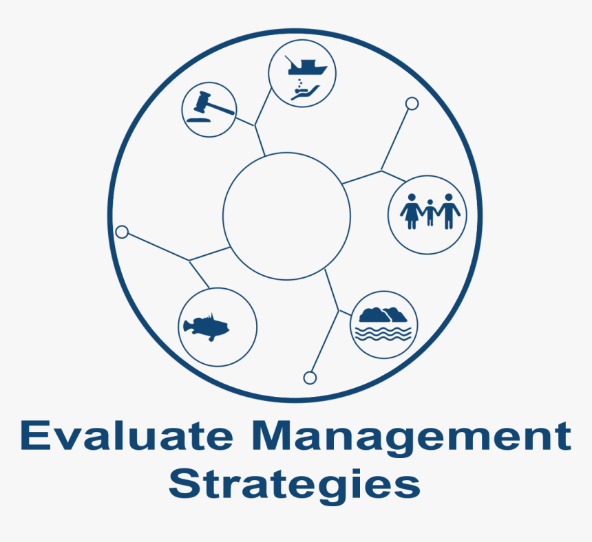 Management Strategy Evaluation - Draw A Soccer Ball Step, HD Png ...