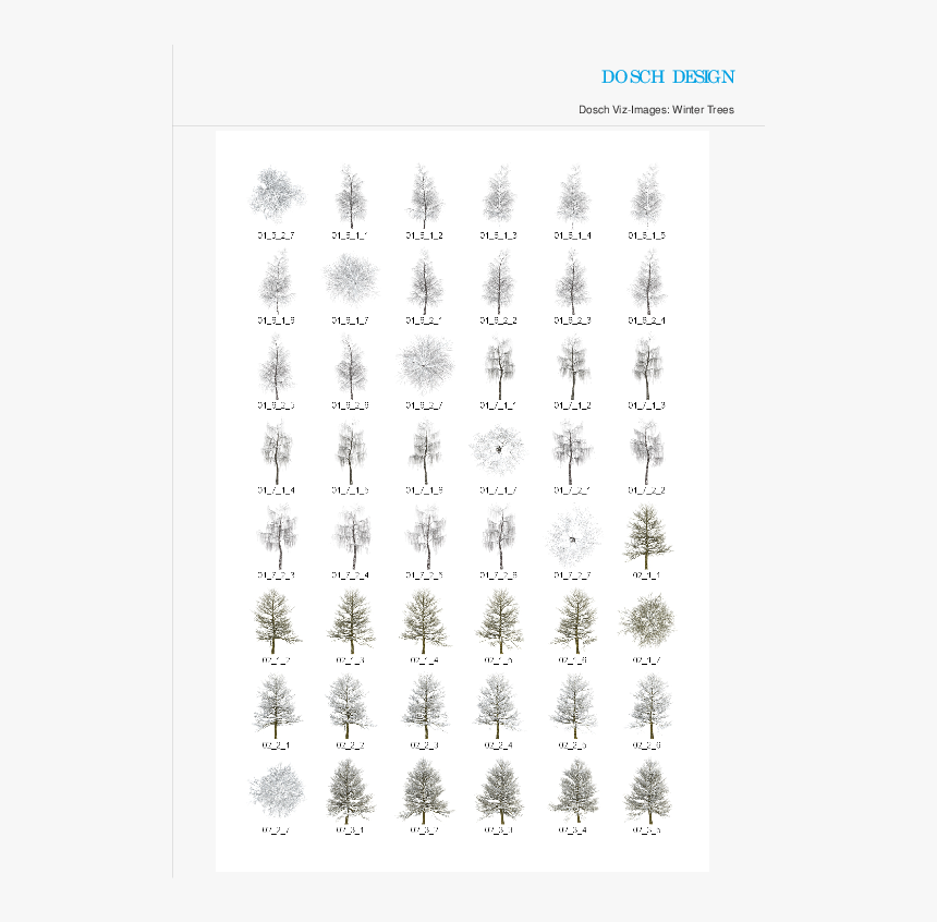 Tree 2d Pdf, HD Png Download , Transparent Png Image - PNGitem