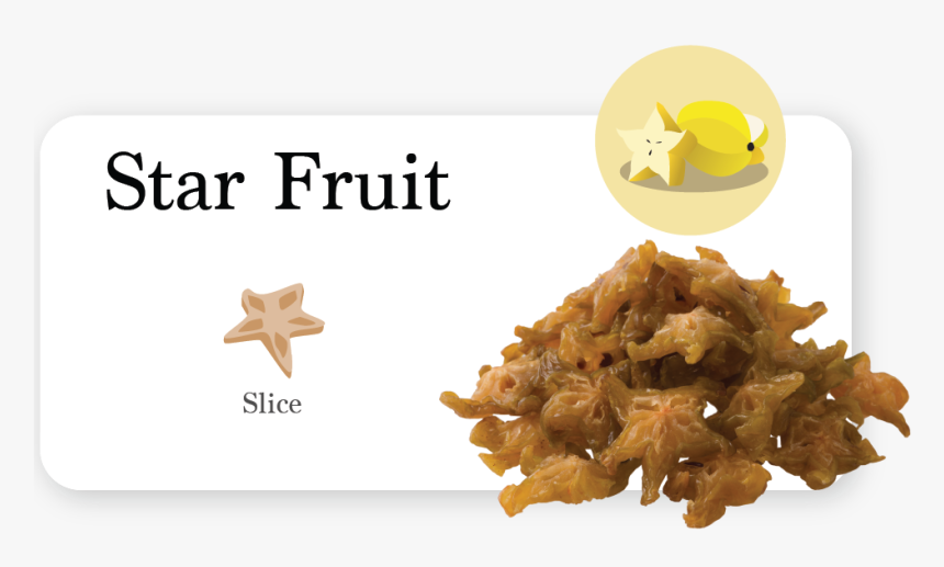 Marine Invertebrates, HD Png Download , Transparent Png Image - PNGitem