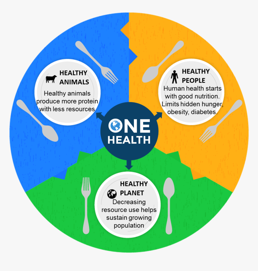 One Health Healthy Environment Healthy Animal, HD Png Download ...