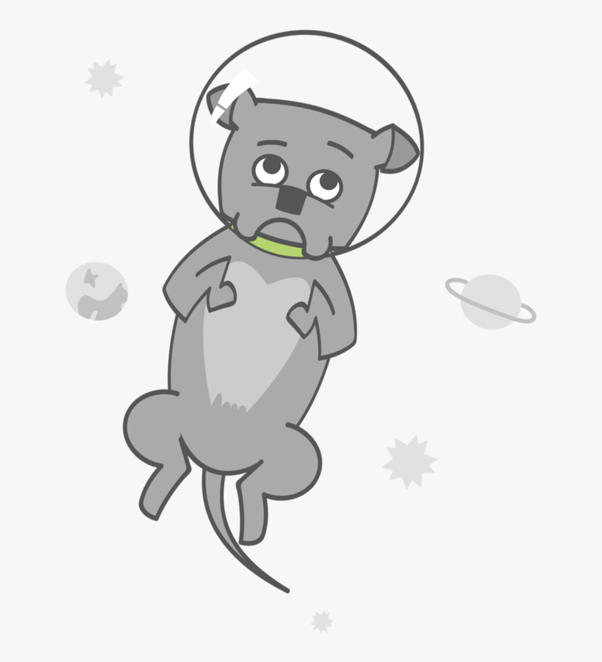 Fin - Cartoon, HD Png Download , Transparent Png Image - PNGitem