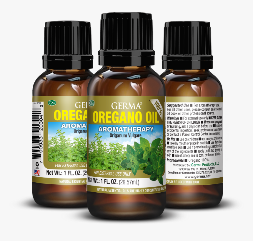 Hyssopus, HD Png Download , Transparent Png Image - PNGitem