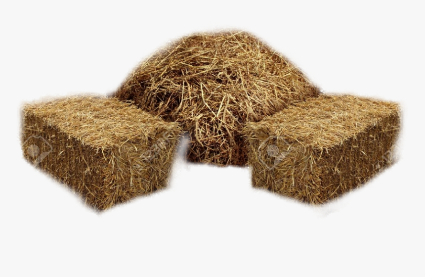 Freetoedit Hay - Hay Bale Transparent Png, Png Download , Transparent ...