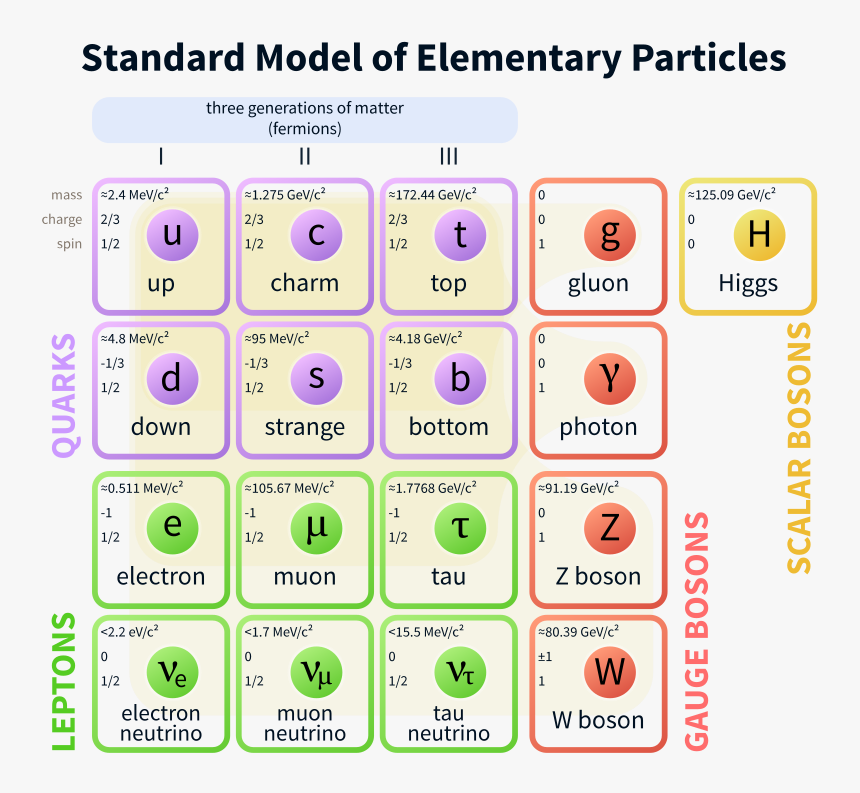 Standard Model Of Elementary Particles, HD Png Download , Transparent ...