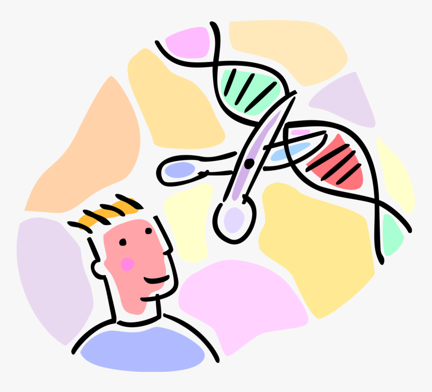 Dna Vector Image Illustration Of Cutting And - Genetic Engineering ...