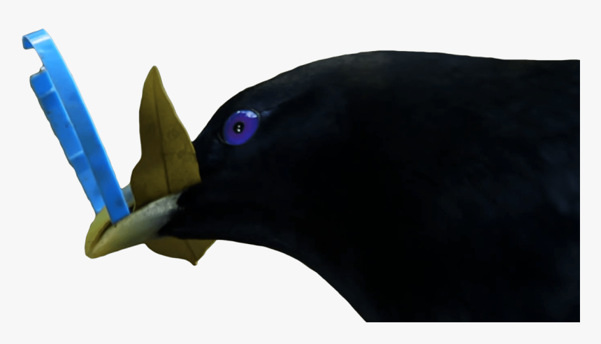 Image - You Want Blue Lemme Smash, HD Png Download , Transparent Png ...