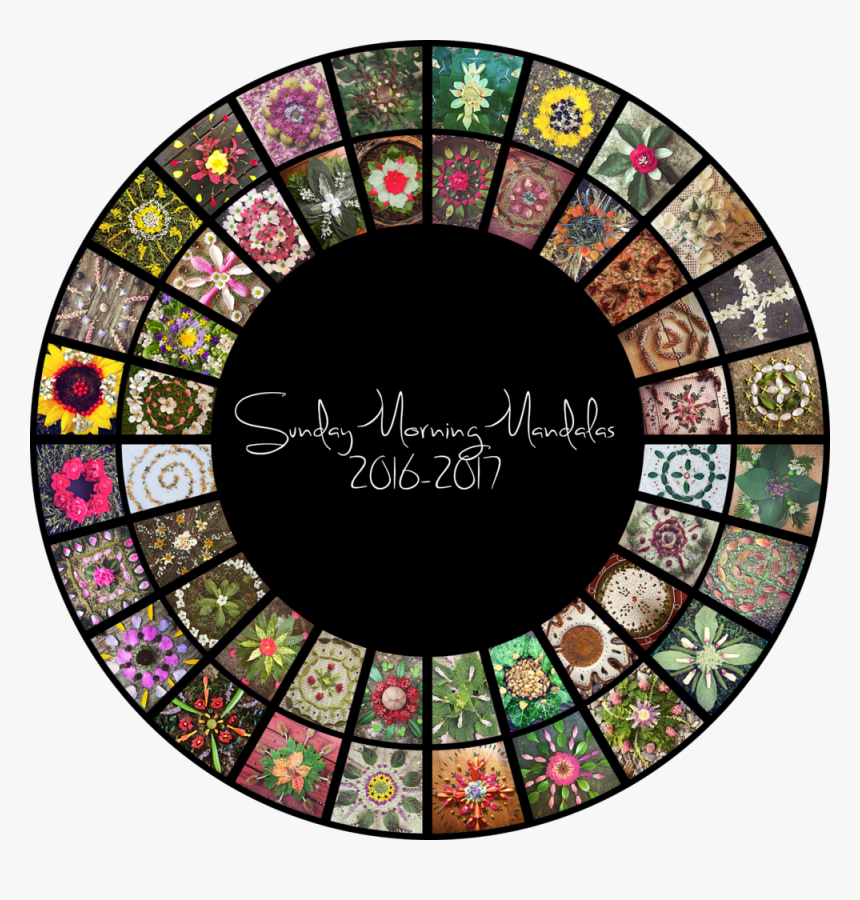 Smm 2016-2017 Transparent Background - Circle, HD Png Download , Transparent Png Image - PNGitem