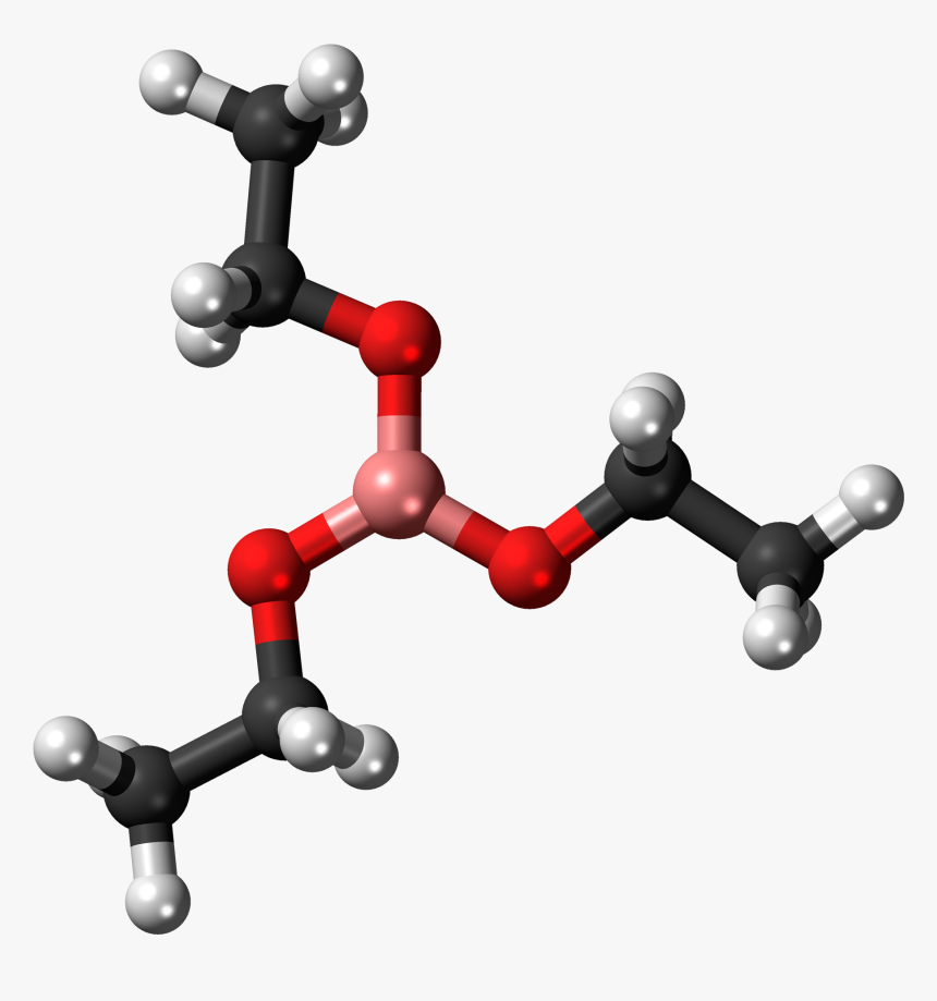 Borat Png, Transparent Png , Transparent Png Image - PNGitem