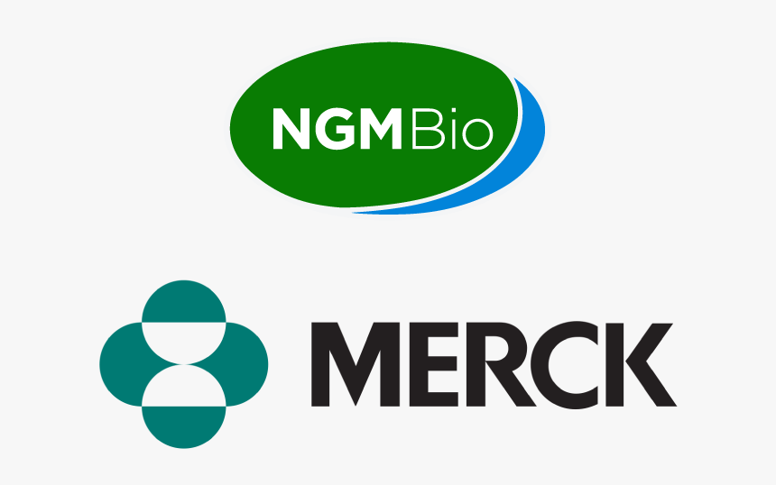 Ngm-merck - Graphic Design, HD Png Download , Transparent Png Image ...