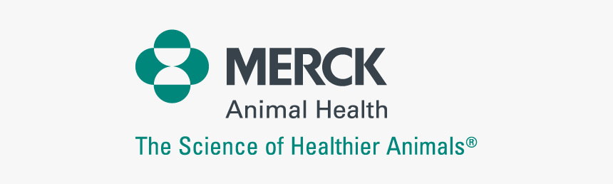 Merck & Co, HD Png Download , Transparent Png Image - PNGitem