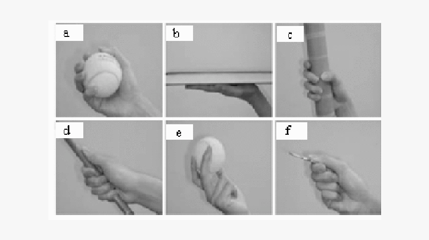 Types Of Power Grasp, HD Png Download , Transparent Png Image - PNGitem