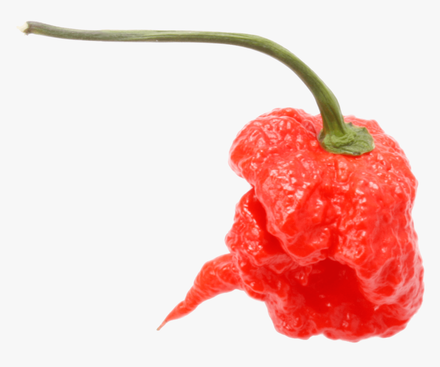 Carolina Reaper Transparent Background, HD Png Download , Transparent ...