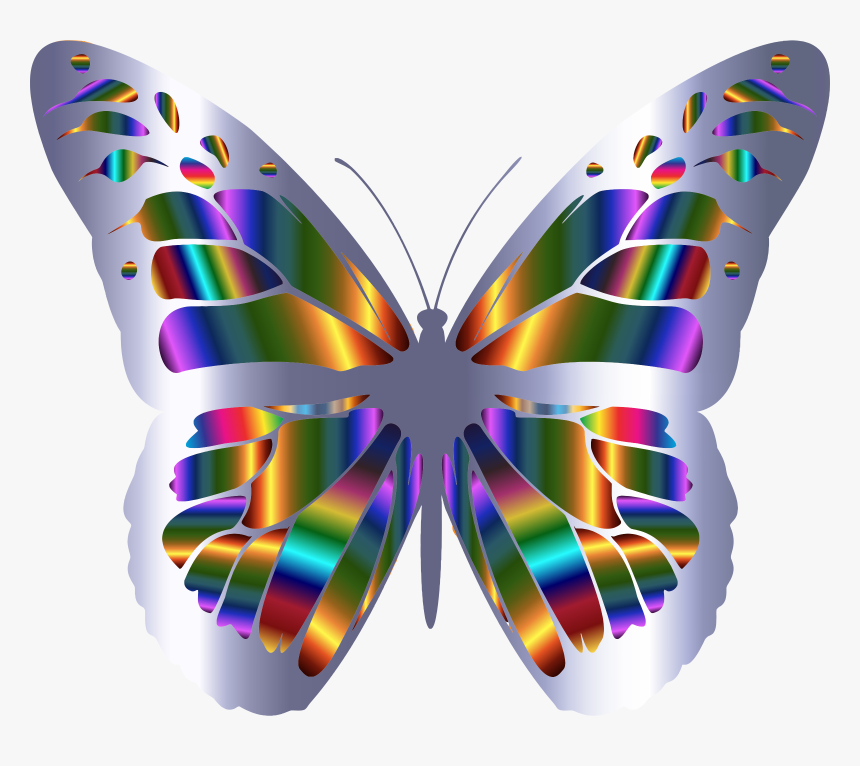 Transparent Butterflies Clipart Border - Butterfly Borders And Frames ...