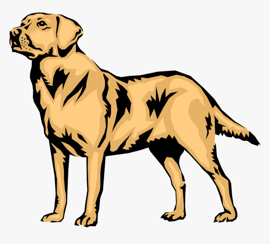 Vector Illustration Of Family Pet Golden Labrador Retriever - Labrador ...