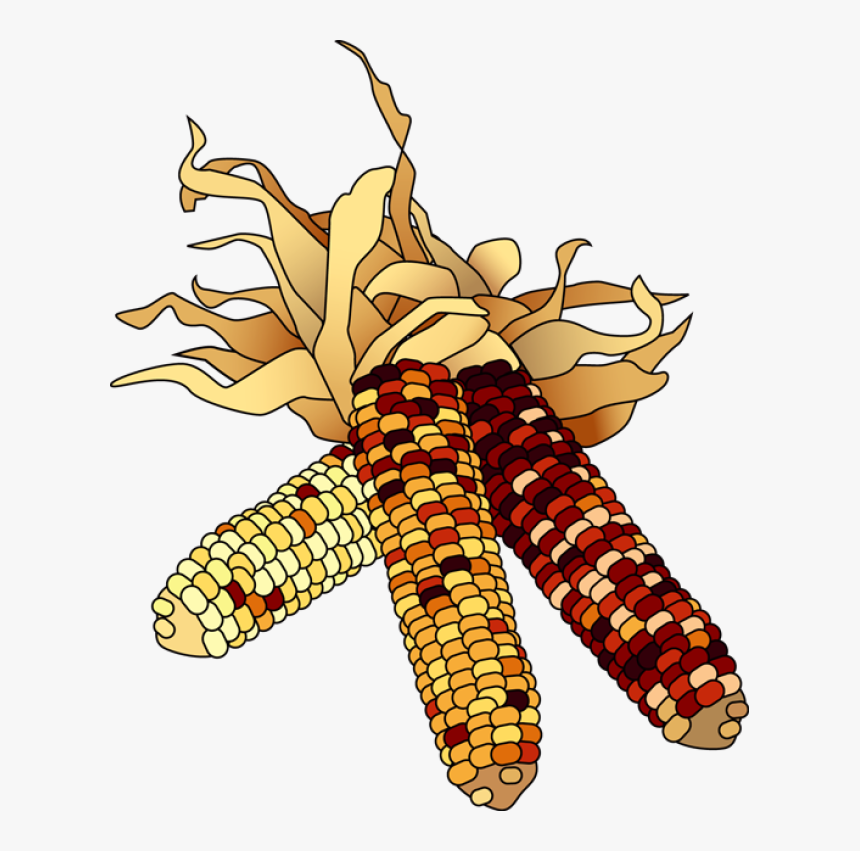 Fall Clipart Corn Stalk - Fall Corn Clipart, HD Png Download ...
