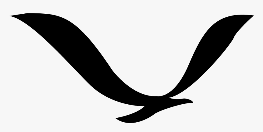 Symbol S Are Abstractions Of The Items They Represent - Noaa Bird Black ...